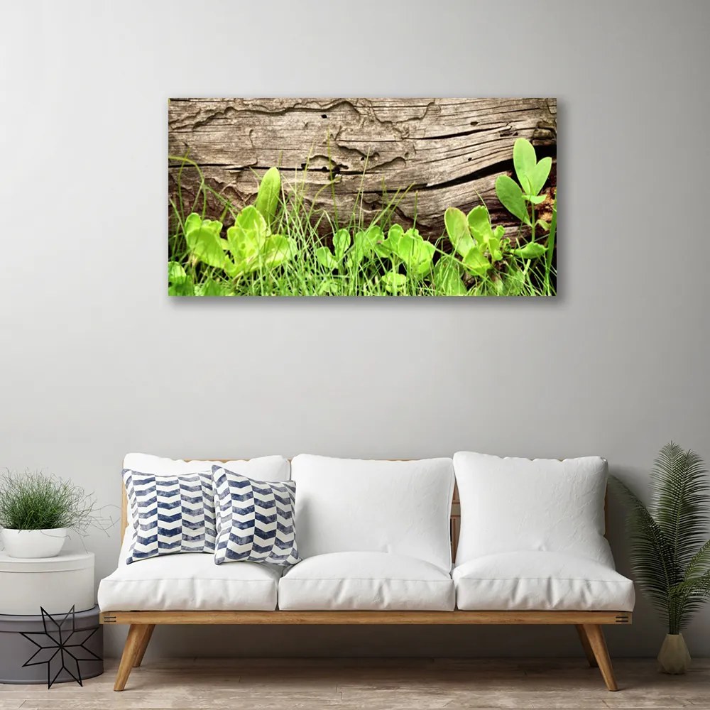 Obraz na plátně Tráva Listy Květiny 100x50 cm