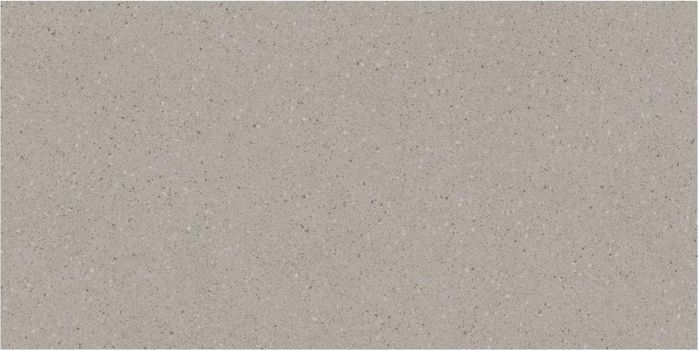RAKO Compila - Obklad 30x60 cm, taupe, šedobéžová WADVK867