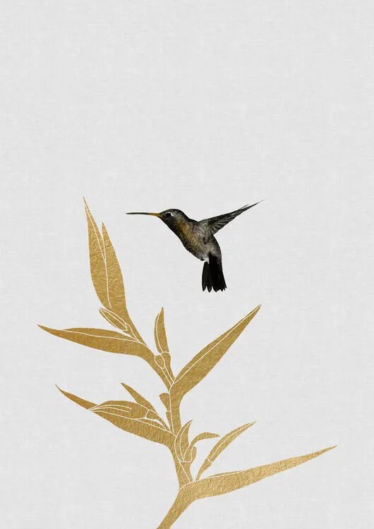Ilustrace Hummingbird & Flower II, Orara Studio, (30 x 40 cm)