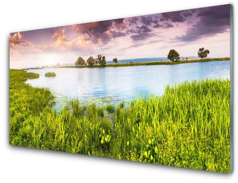Obraz na skle Tráva Jezero Příroda 120x60 cm