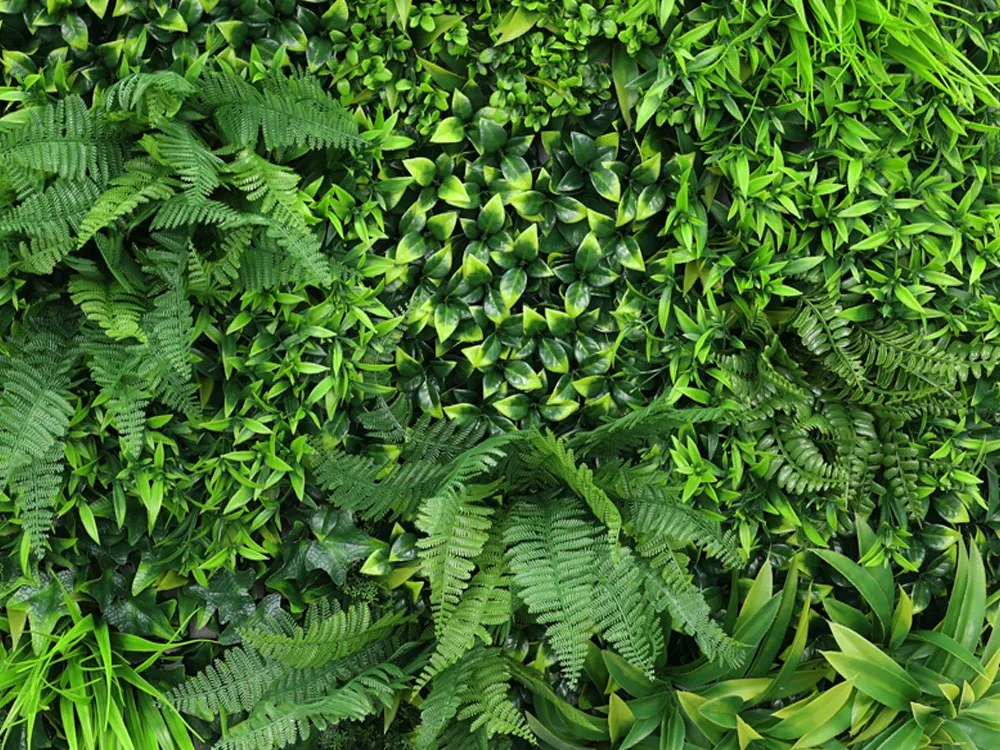 WALL GREEN Ruscus, dílec 100 x 100 cm