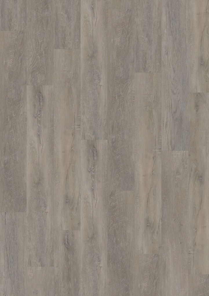 Oneflor, Vinylová podlaha lepená ECO 55 056 Old Oak Greige - dub, 1219,2 x 184,1 mm