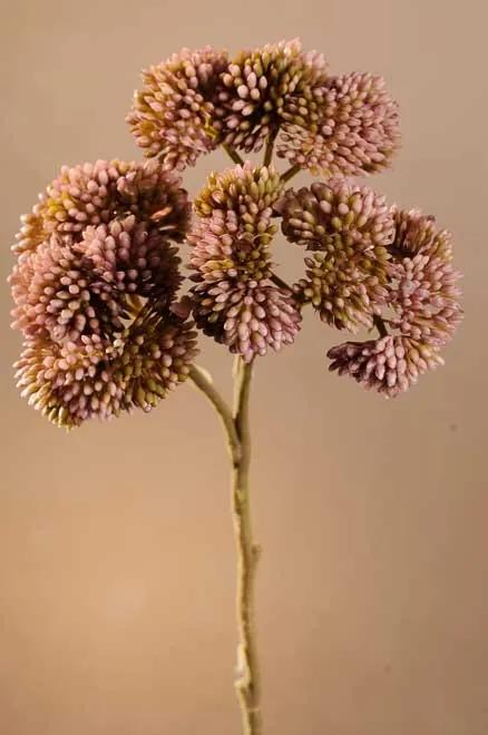 Paramit DRY WILD BERRY Aranžovací květina růžová 45 cm