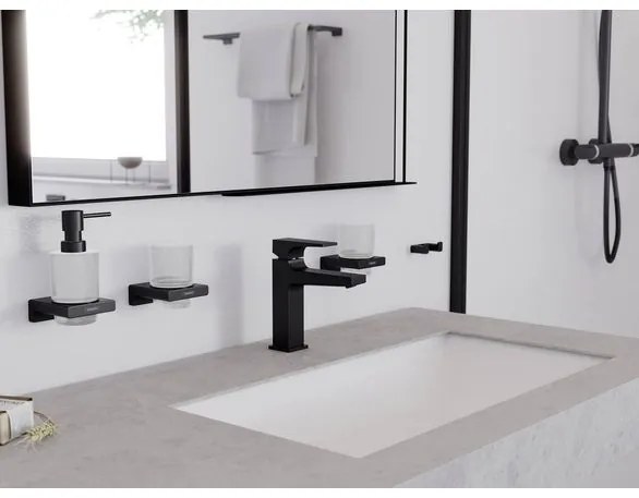 Hansgrohe AddStoris Držák kartáčků, chrom, 41749000