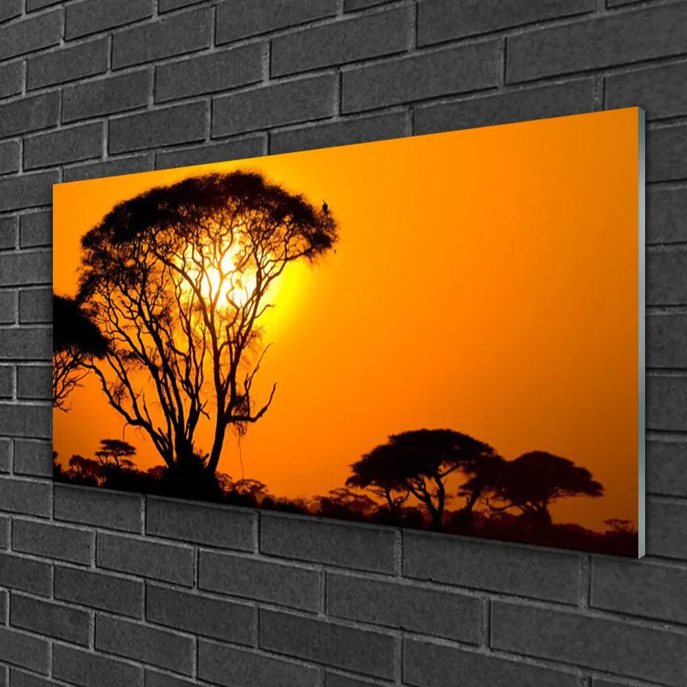 Obraz na skle Strom Slunce Příroda 100x50 cm
