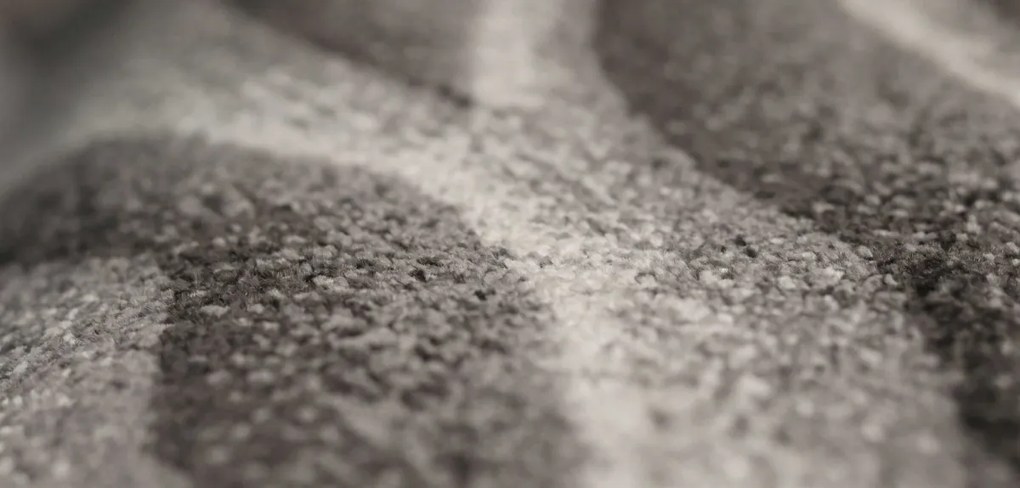 Běhounový koberec Mira 24028-691