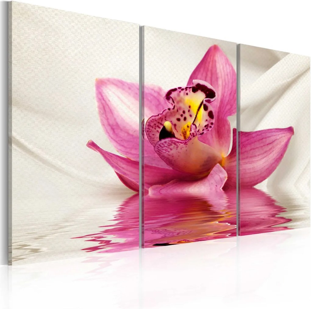 Obraz - Unusual orchid - triptych - 120x80