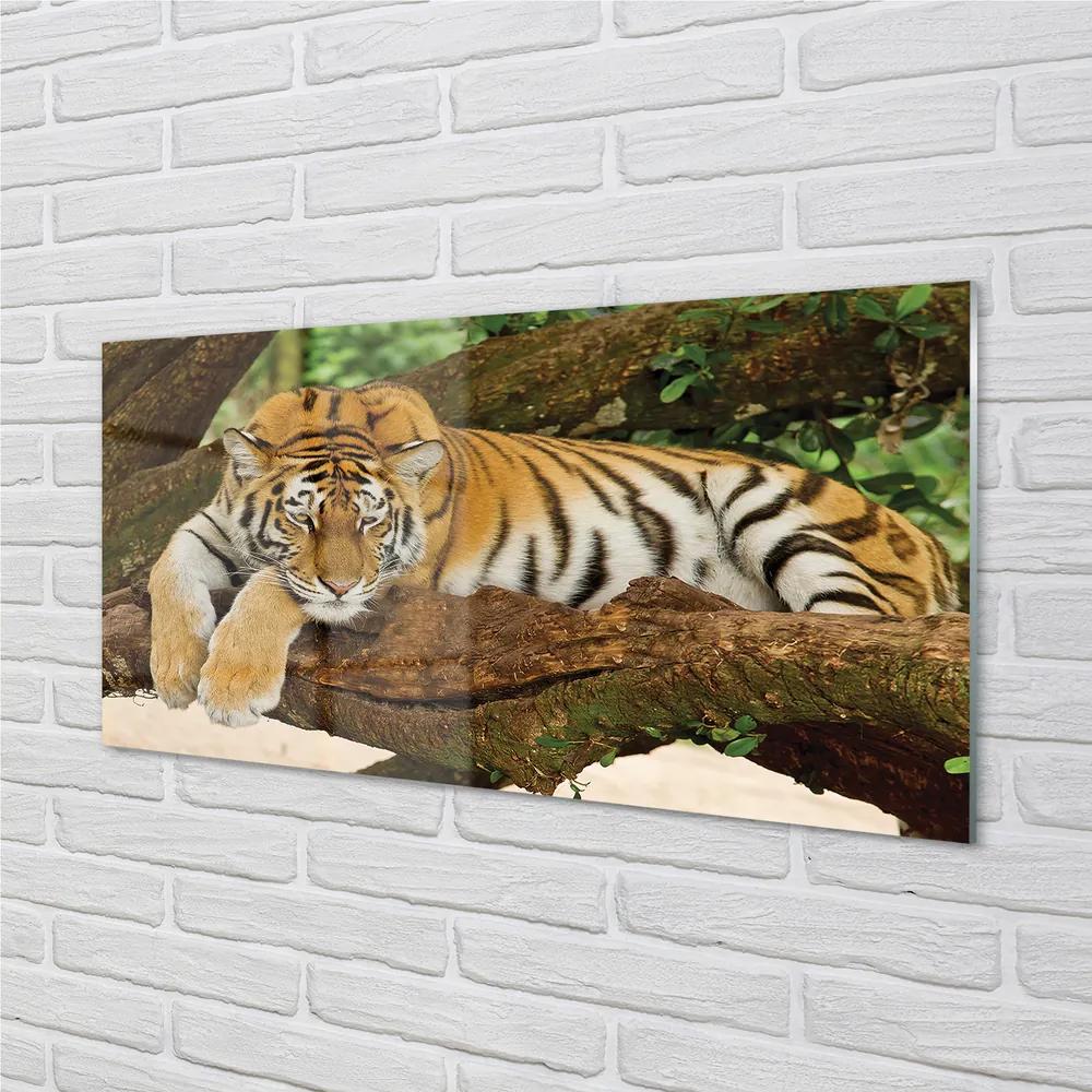 akrylový obraz tiger tree 140x70 cm
