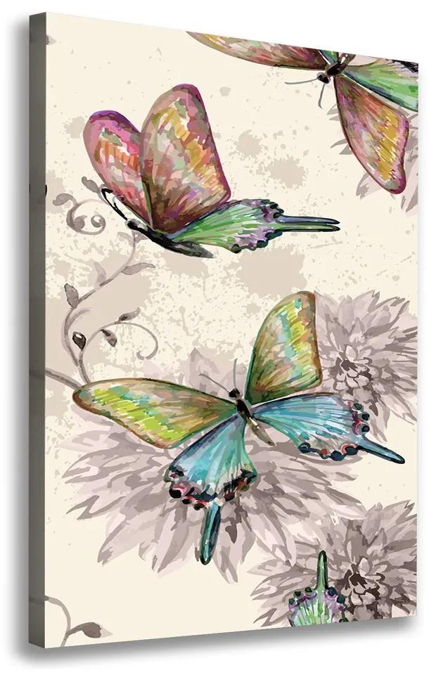 Wallmuralia Foto obraz na plátně Barevní motýli 70x100 cm