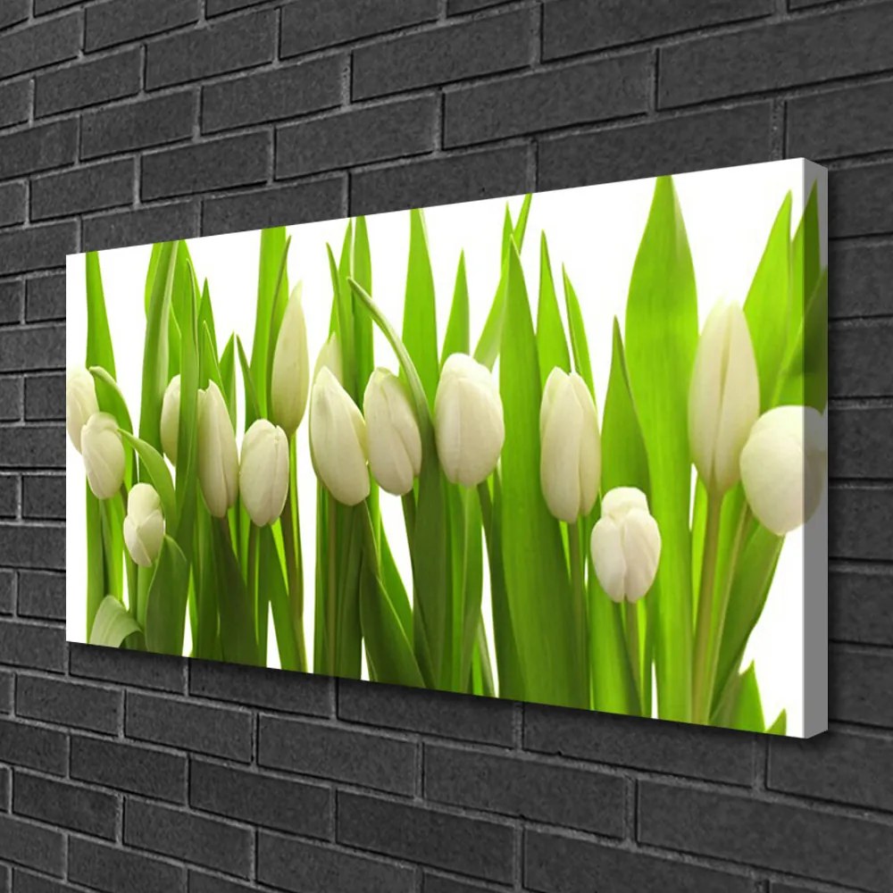 Obraz na plátně Tulipány Květiny Rostlina 100x50 cm