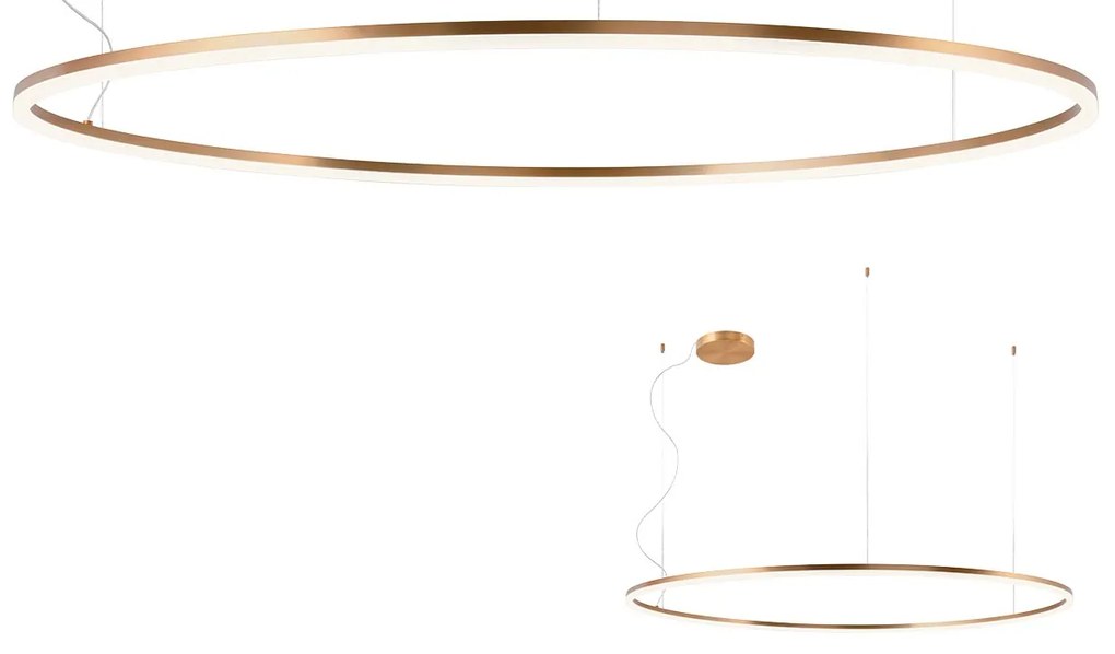 Redo group Redo Orbit direct, závěsné kruhové svítidlo, 110W LED 4000K DALI, bronz, prům. 150cm