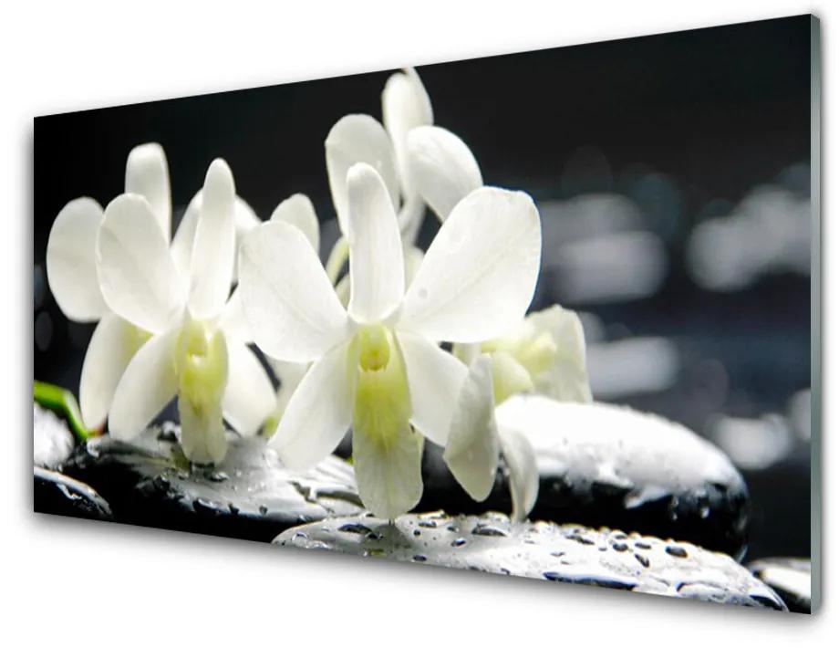 Obraz na skle Kameny Květiny Orchidej 100x50 cm