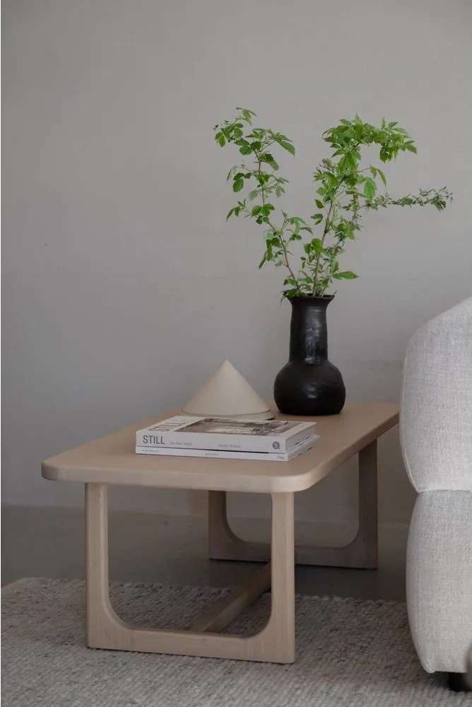 Konferenční stolek s deskou v dubovém dekoru ve světle přírodní barvě 50x103 cm Driscoll – Rowico