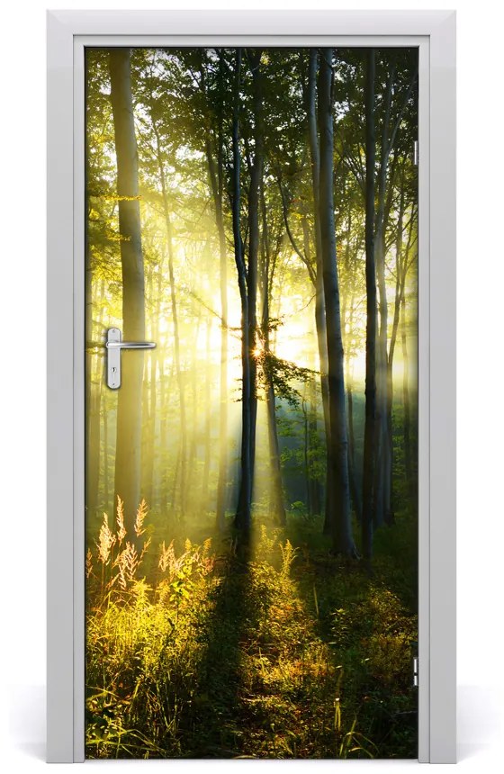 Fototapeta samolepící na dveře les příroda 85x205 cm