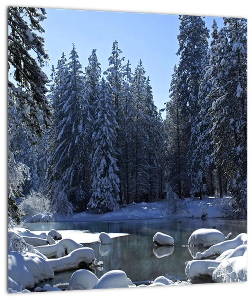 Obraz zasněženého lesa (30x30 cm)