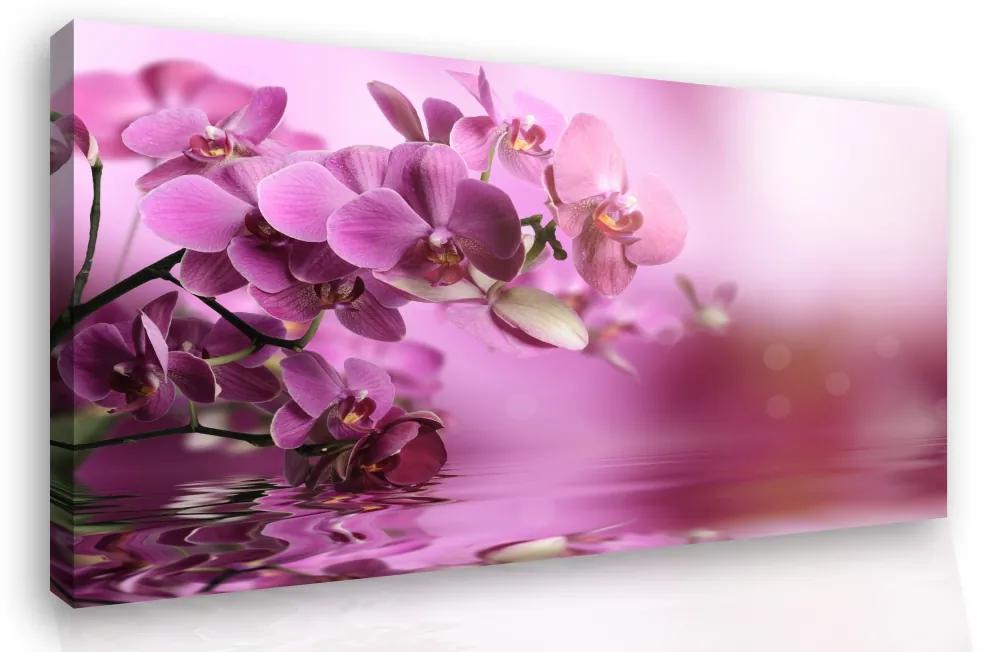 Malvis ® Obraz na zeď - orchidej Velikost: 150x100 cm