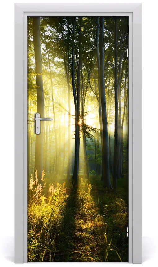 Fototapeta samolepící na dveře les příroda 75x205 cm
