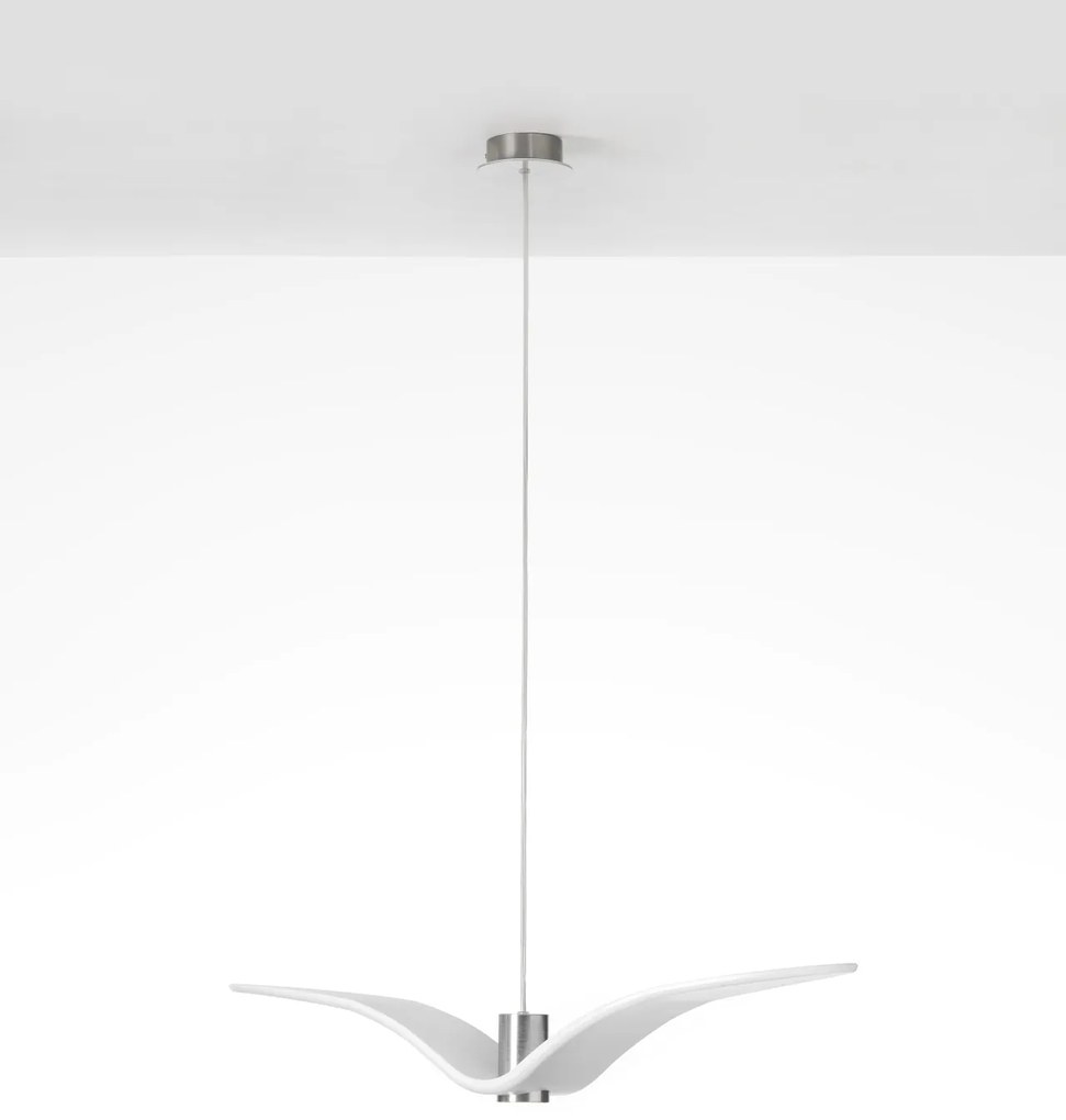 Designové závěsné svítidlo Brokis Night Birds PC962 Povrch Montury: Černý elox, Barva skla: opal - masiv, Povrch baldachýnu: kov - černý matný komaxit