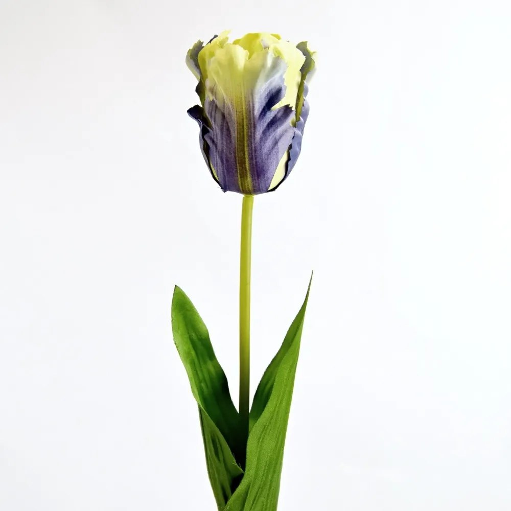 Tulipán zeleno-modrý 70cm