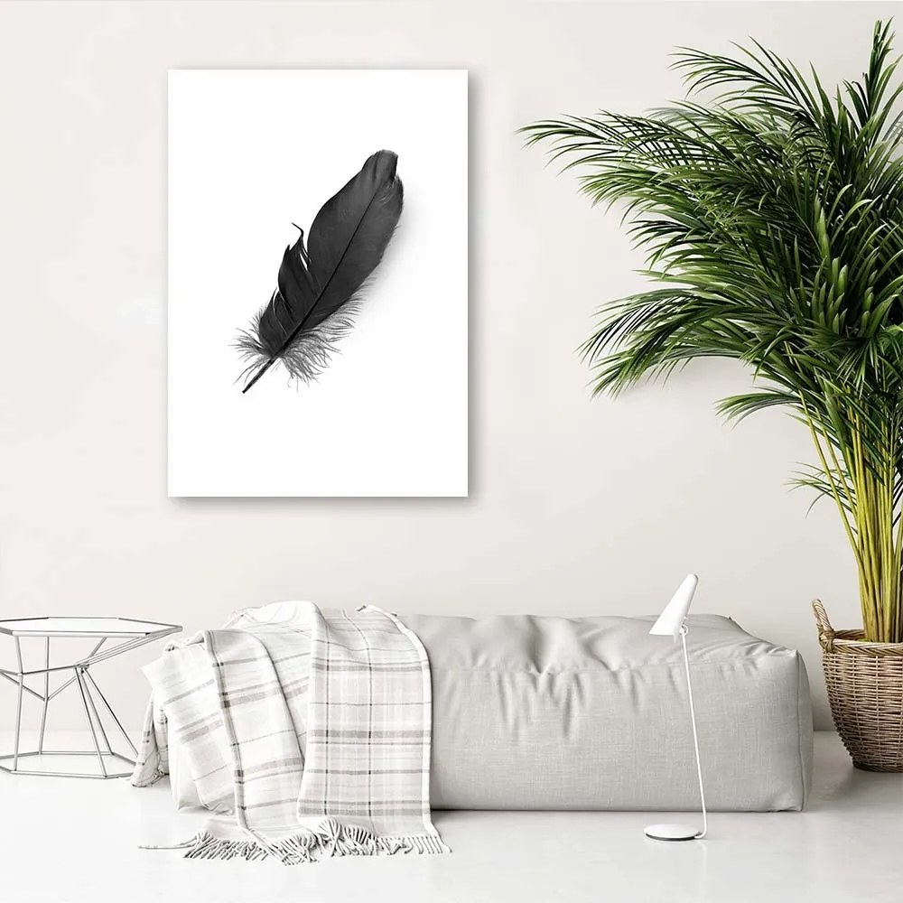 Gario Obraz na plátně Černé peří Rozměry: 40 x 60 cm