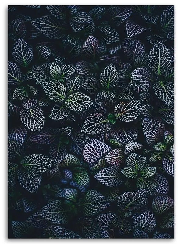 Gario Obraz na plátně Zimní listí Rozměry: 40 x 60 cm
