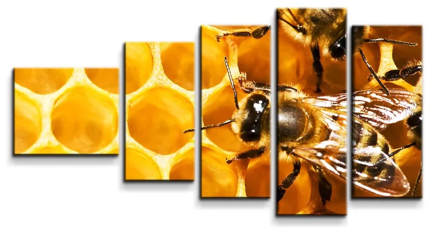 Sablio Obraz - 5-dílný Včely - 100x60 cm