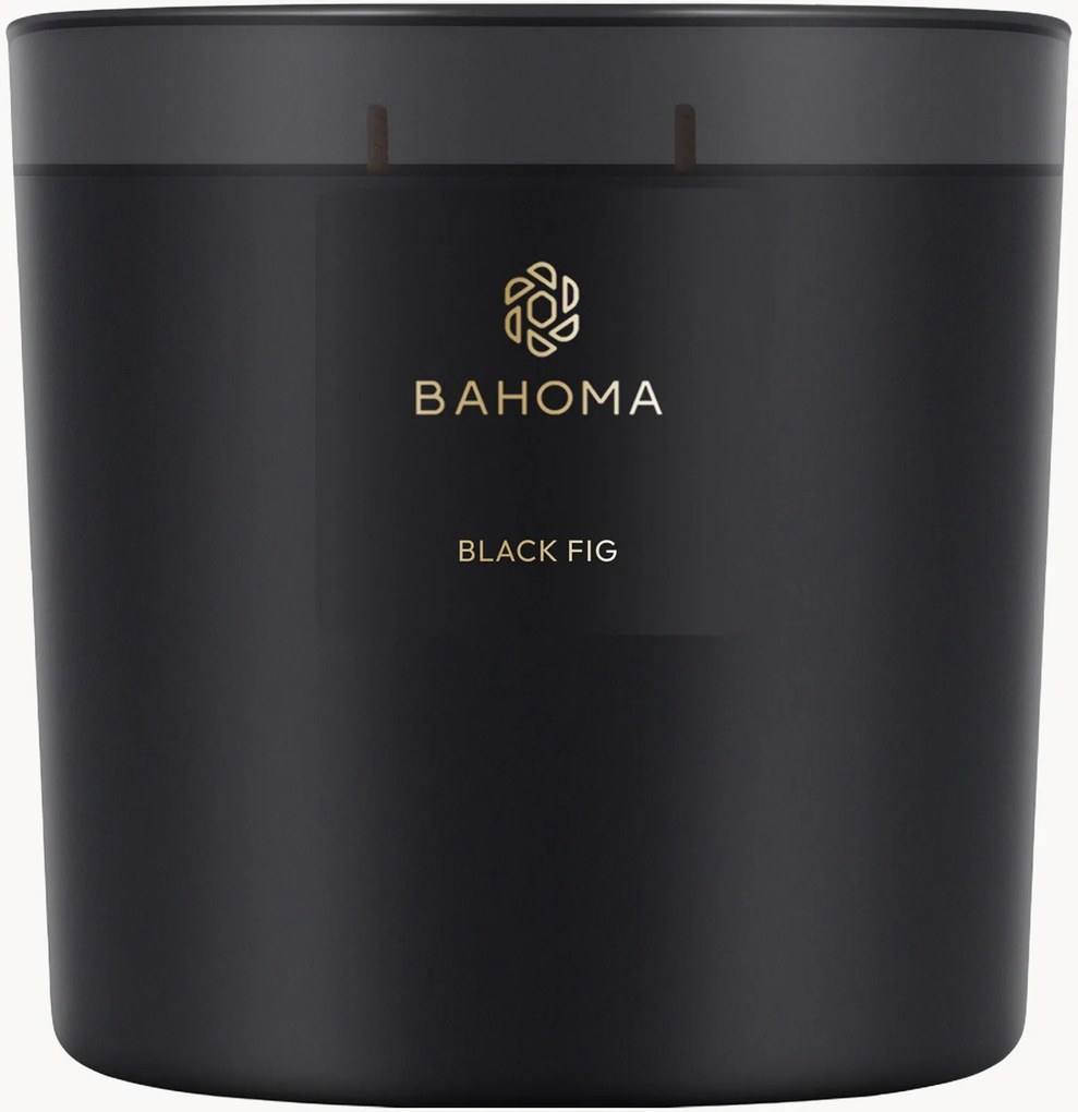 Vonná svíčka Black Fig (fík, anýz, zelené listy)