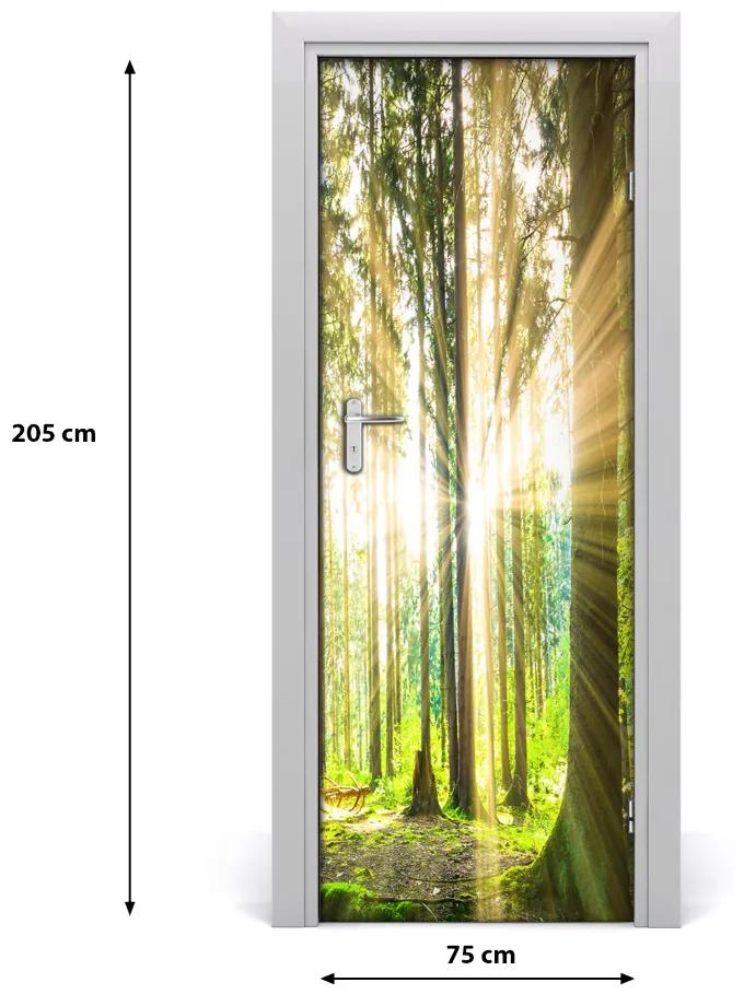 Fototapeta na dveře slunce v lese 75x205 cm