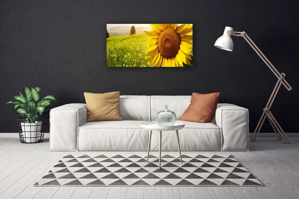 Obraz na plátně Slunečnice Květ Rostlina 125x50 cm