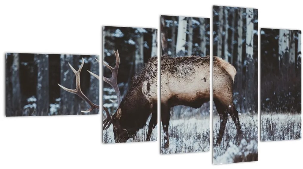 Obraz - jelen v zimě (110x60 cm), 40 dalších rozměrů