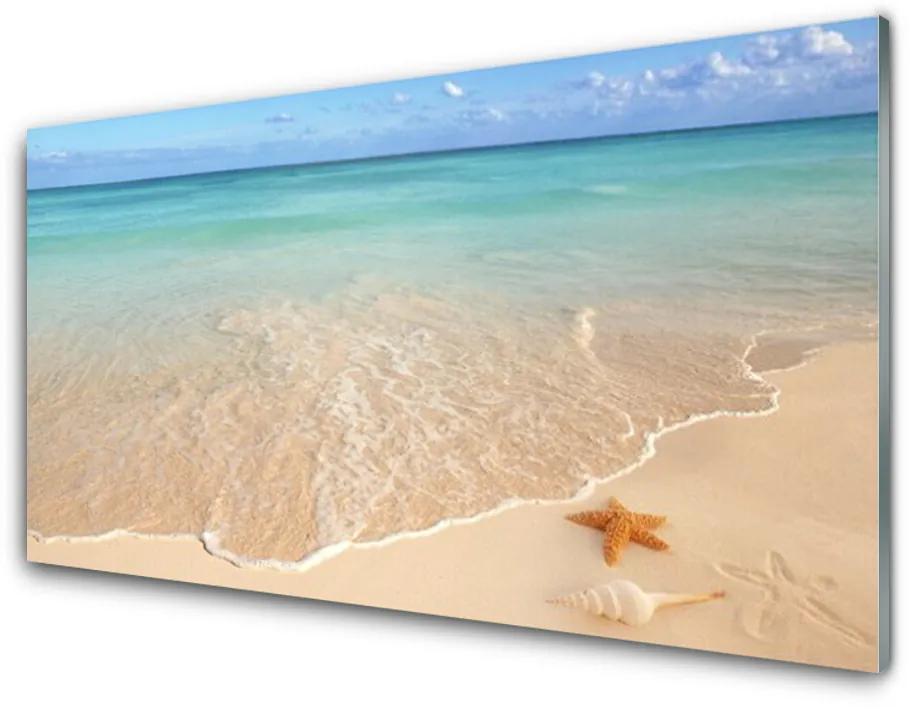 akrylový obraz Pláž Hvězdice Krajina 125x50 cm
