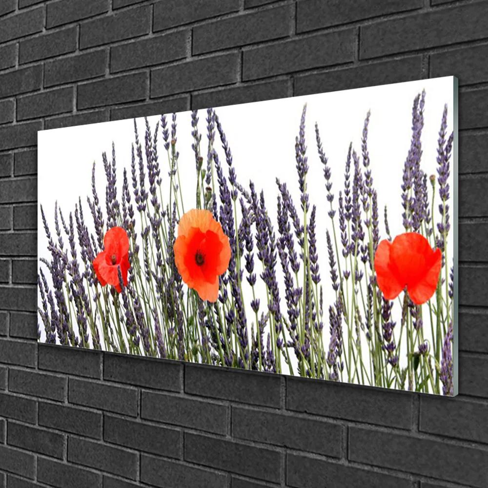 Obraz na skle Květiny Máky Pole Trávy 125x50 cm