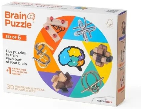 Hlavolam recent toys brain puzzle - sada 6 kusů