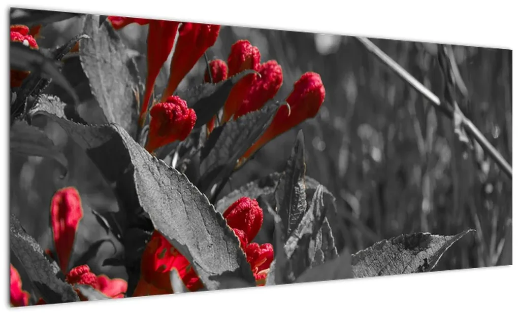 Červené květy - moderní obrazy (100x40cm) | BIANO
