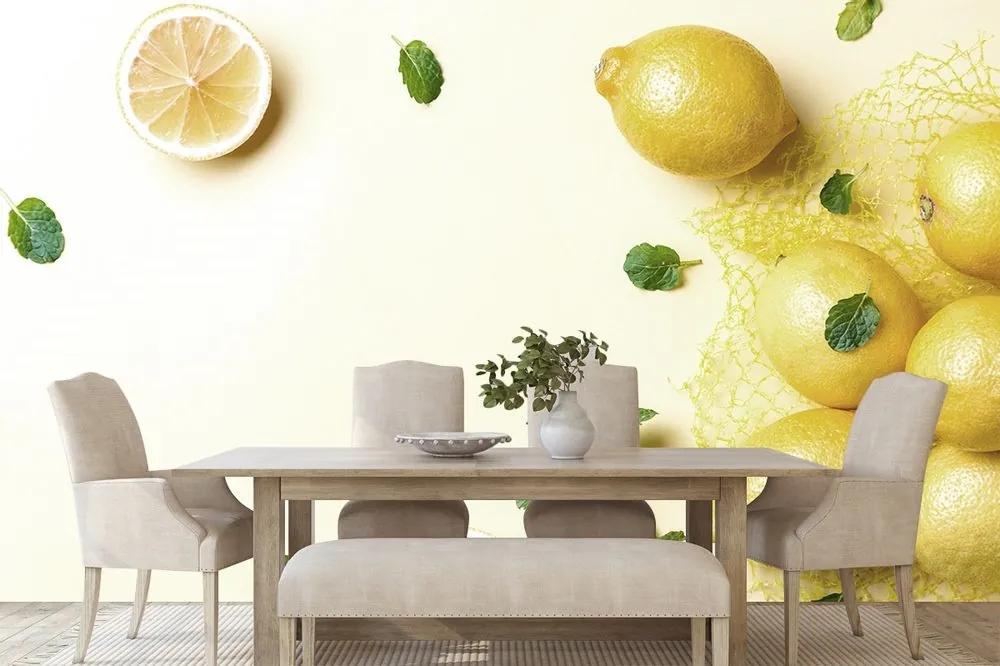 Tapeta citrusy s mátou - 225x150 cm