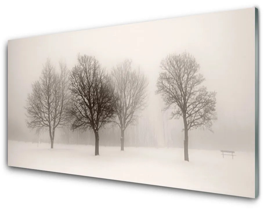 Obraz na skle Sníh Stromy Krajina 140x70 cm