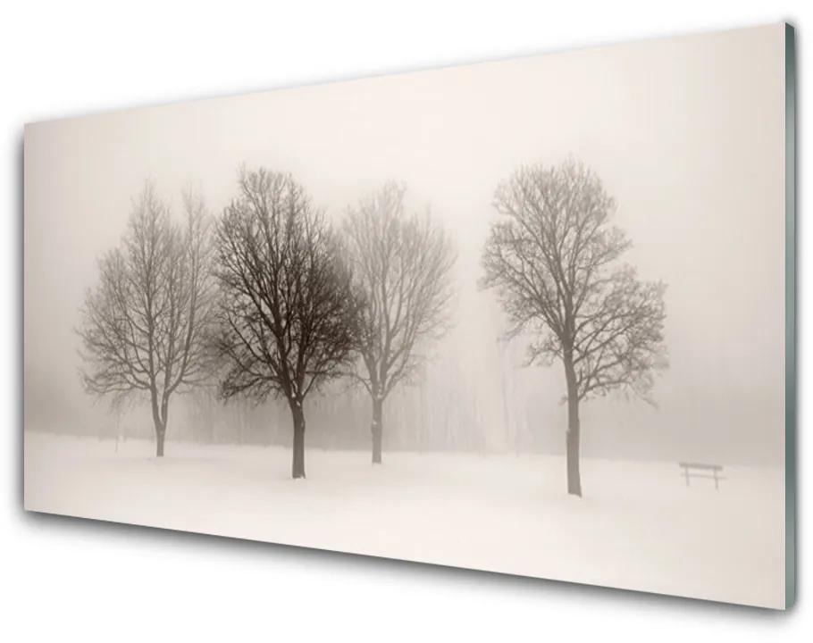 Obraz na skle Sníh Stromy Krajina 120x60 cm