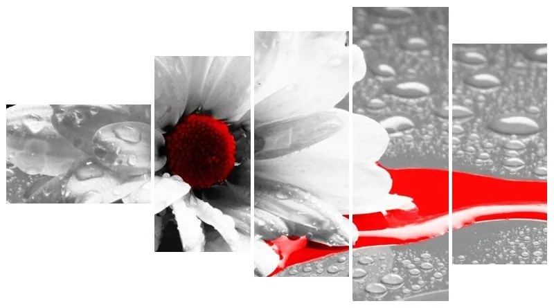 Obraz květiny  (110x60 cm), 40 dalších rozměrů