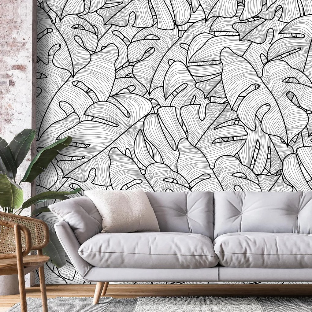 Fototapeta - Monstera listy (245x170 cm)