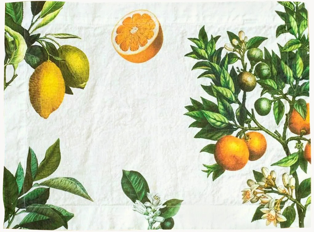 Sada lněných prostírání Citruses, 2 díly