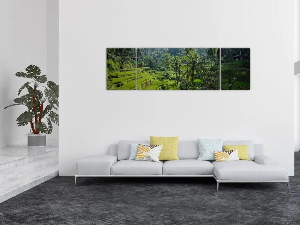 Obraz rýžových teras Tegalalang, Bali (170x50 cm)