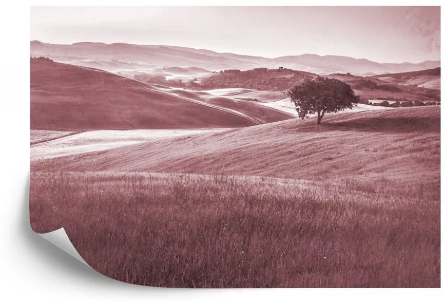 Fototapeta Rolling Hills Vybledlé Vintage V Červené Barvě Strukturální vinyl 450x300