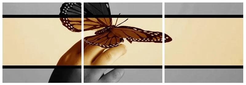 Dvoubarevný obraz motýla (90x30 cm), 40 dalších rozměrů