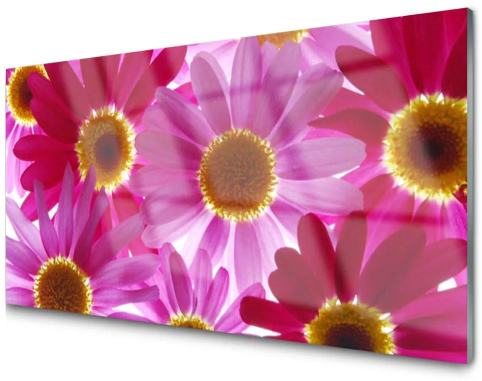 Obraz na skle Skleněný Květiny