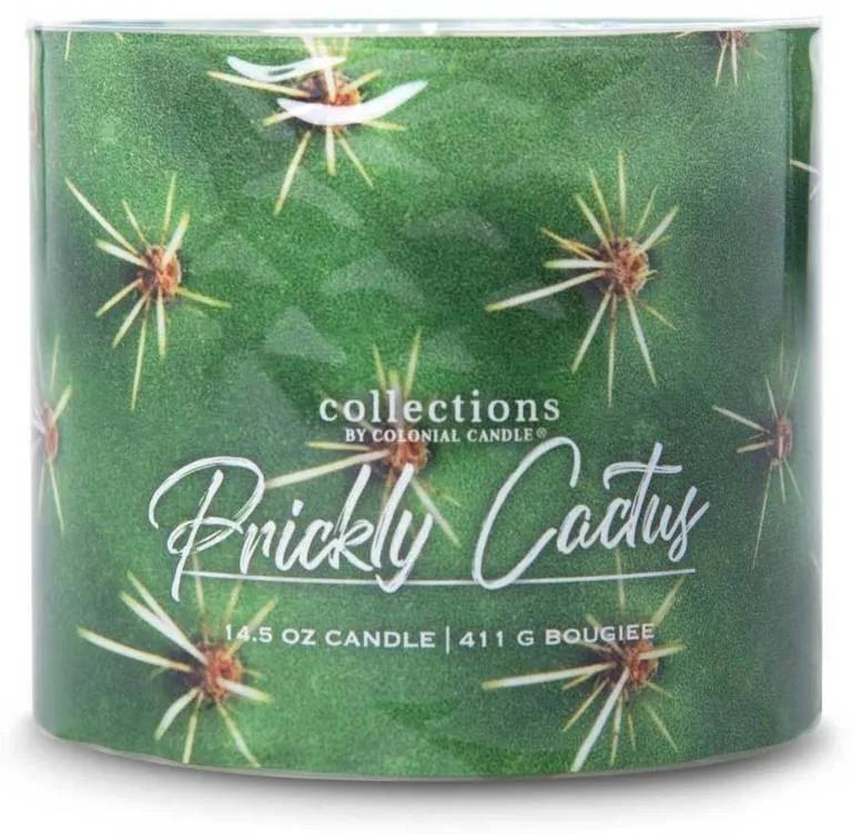 Colonial Candle svíčka Desert Prickly Cactus, 411 g