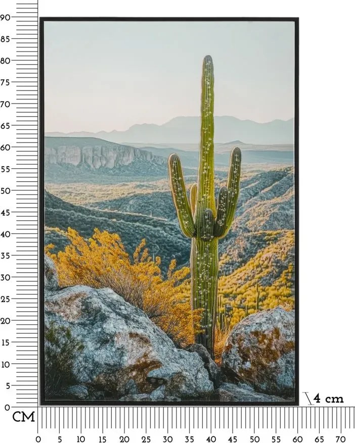 Obraz Cactus B 60x90 cm vícebarevný