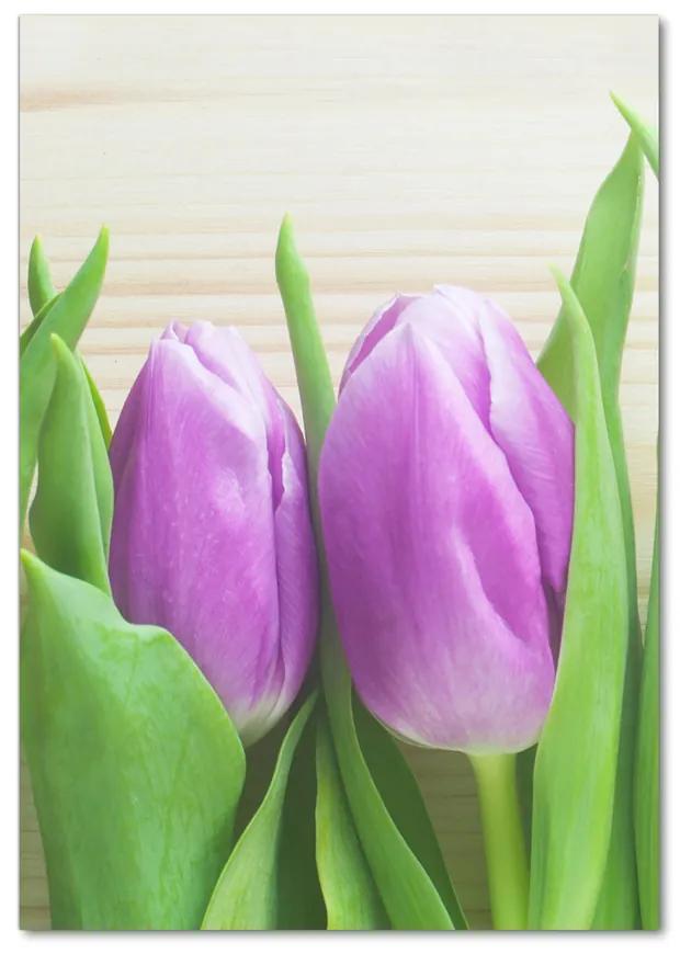 Wallmuralia Fotoobraz na skle Fialové tulipány 70x100 cm