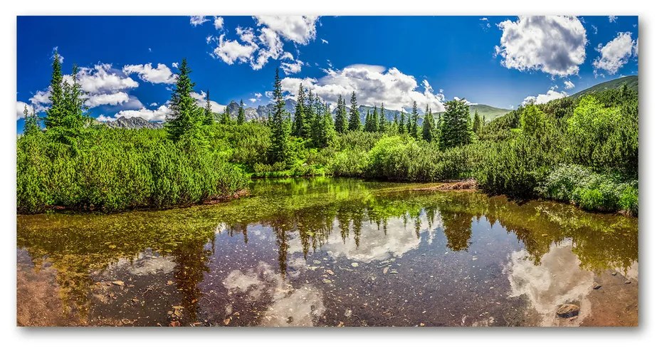 Wallmuralia Foto obraz akryl do obýváku Jezerov  lese 120x60 cm
