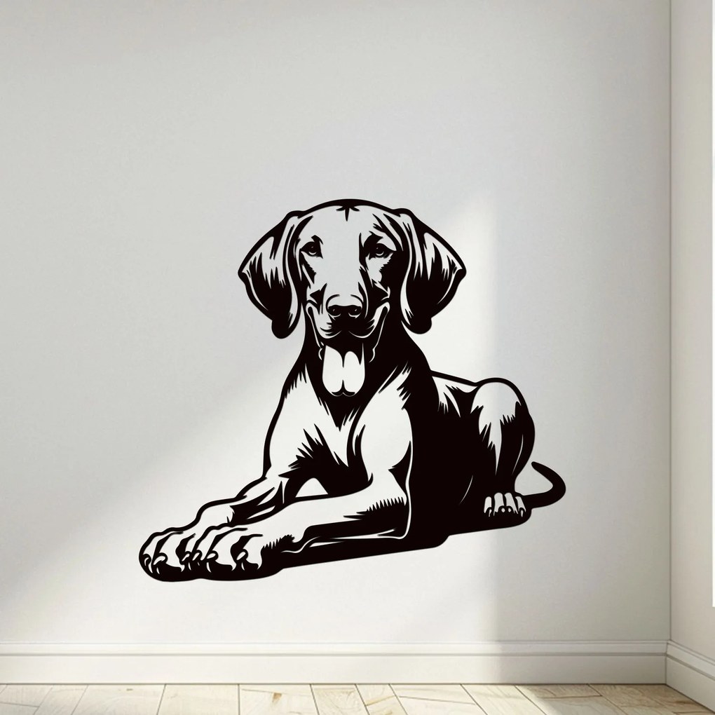 dřevo života Dřevěná dekorace psa Vizsla Zvolte rozměr (cm): 40x36, Zvolte barvu dekoru: Buk
