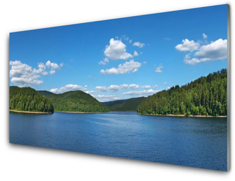 Obraz na skle Jezero Les Krajina 140x70 cm